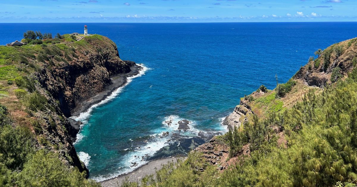 Everything You Need to Know About Shaka Guide